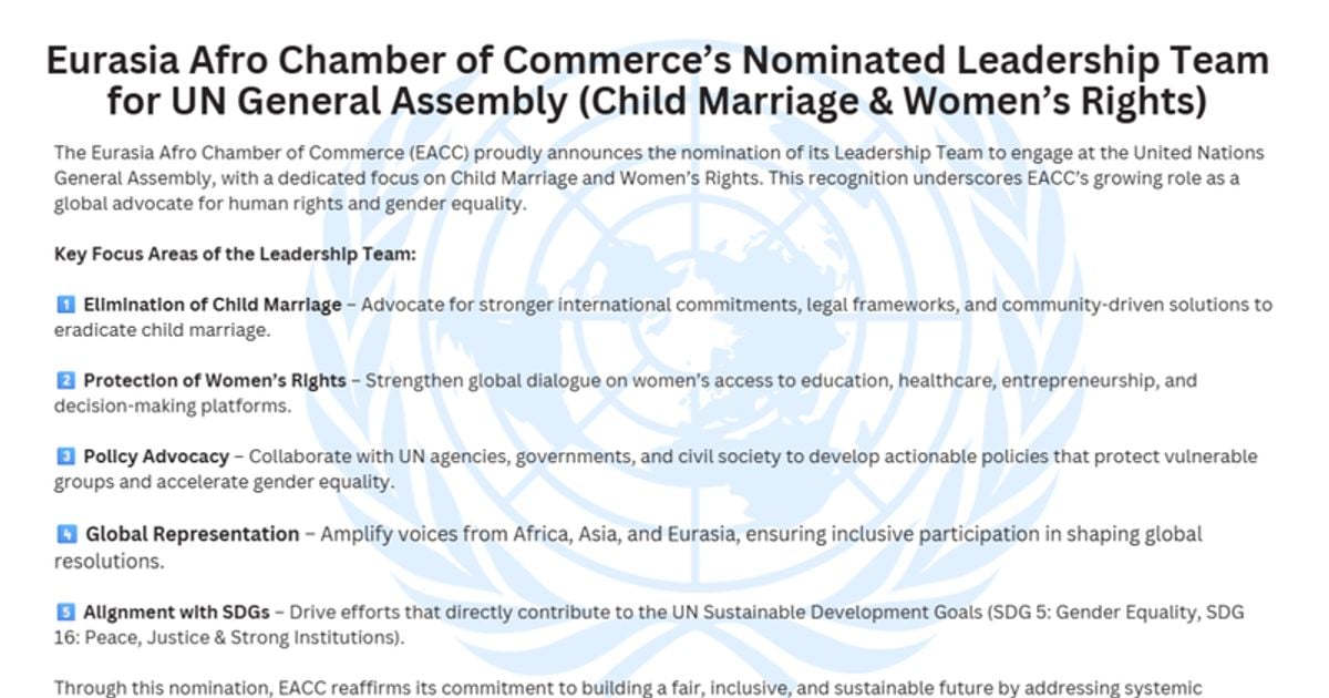 Eurasia Afro Chamber of Commerce’s Nominated Leadership Team for UN ...